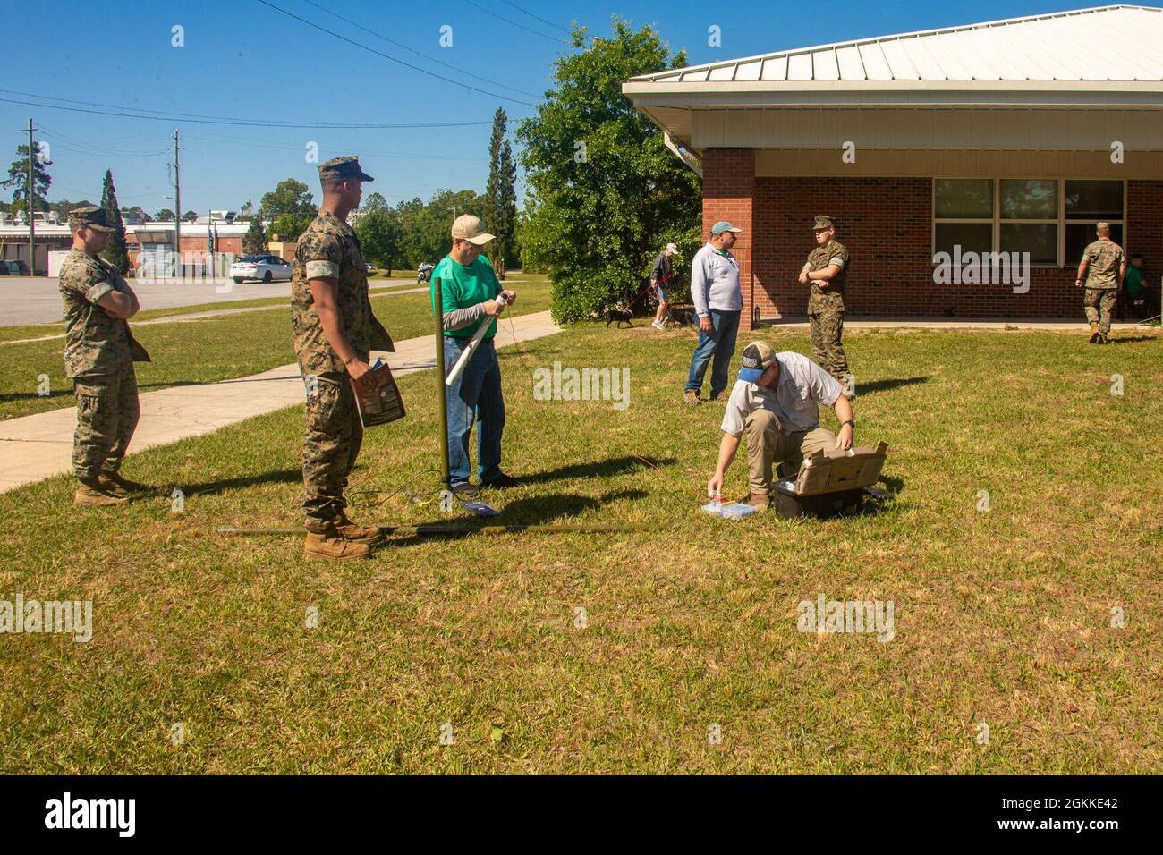 Antennae clubs hi-res stock photography and images - Alamy