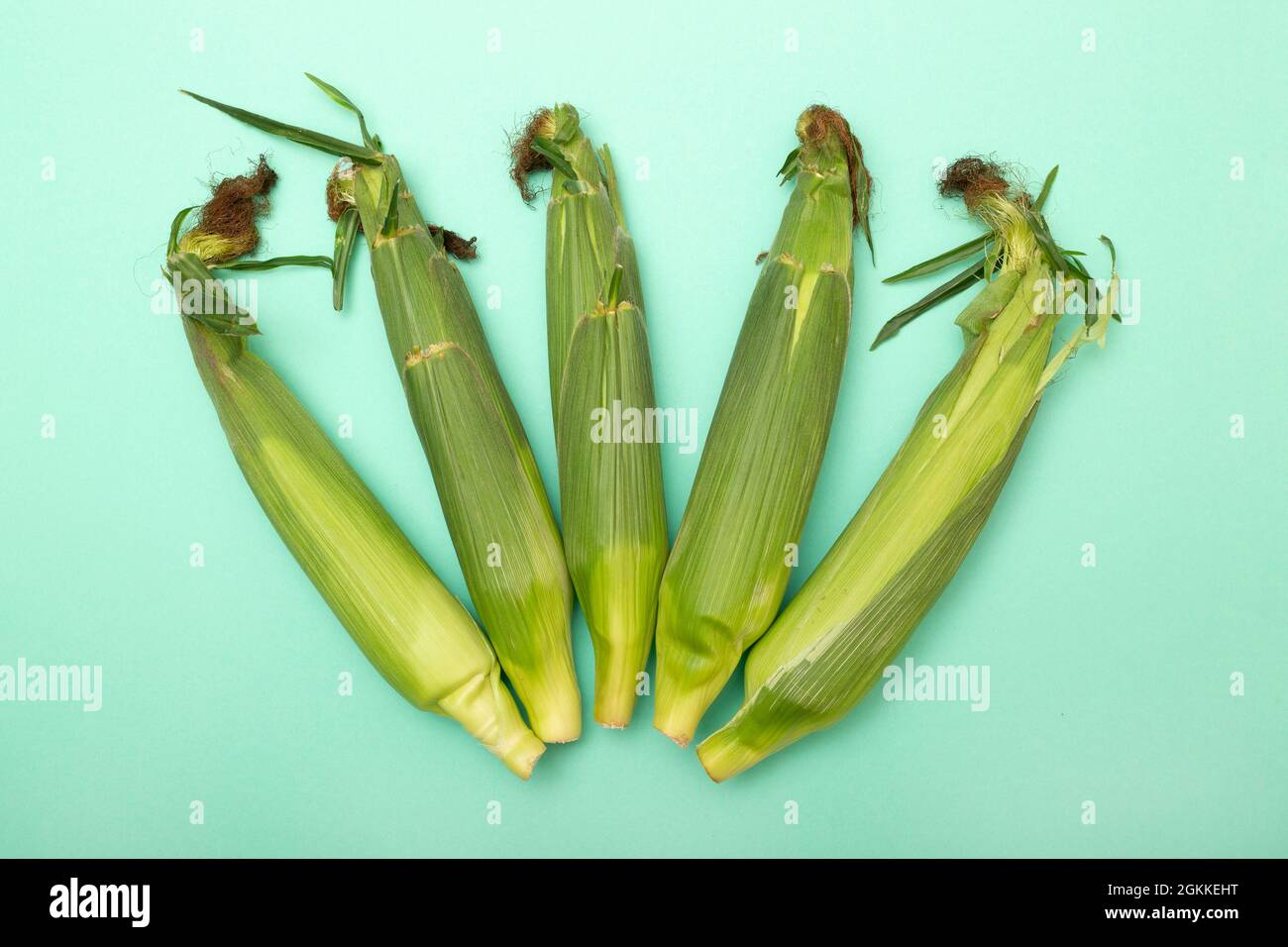Five fresh corn cobs on a turquoise background Stock Photo - Alamy