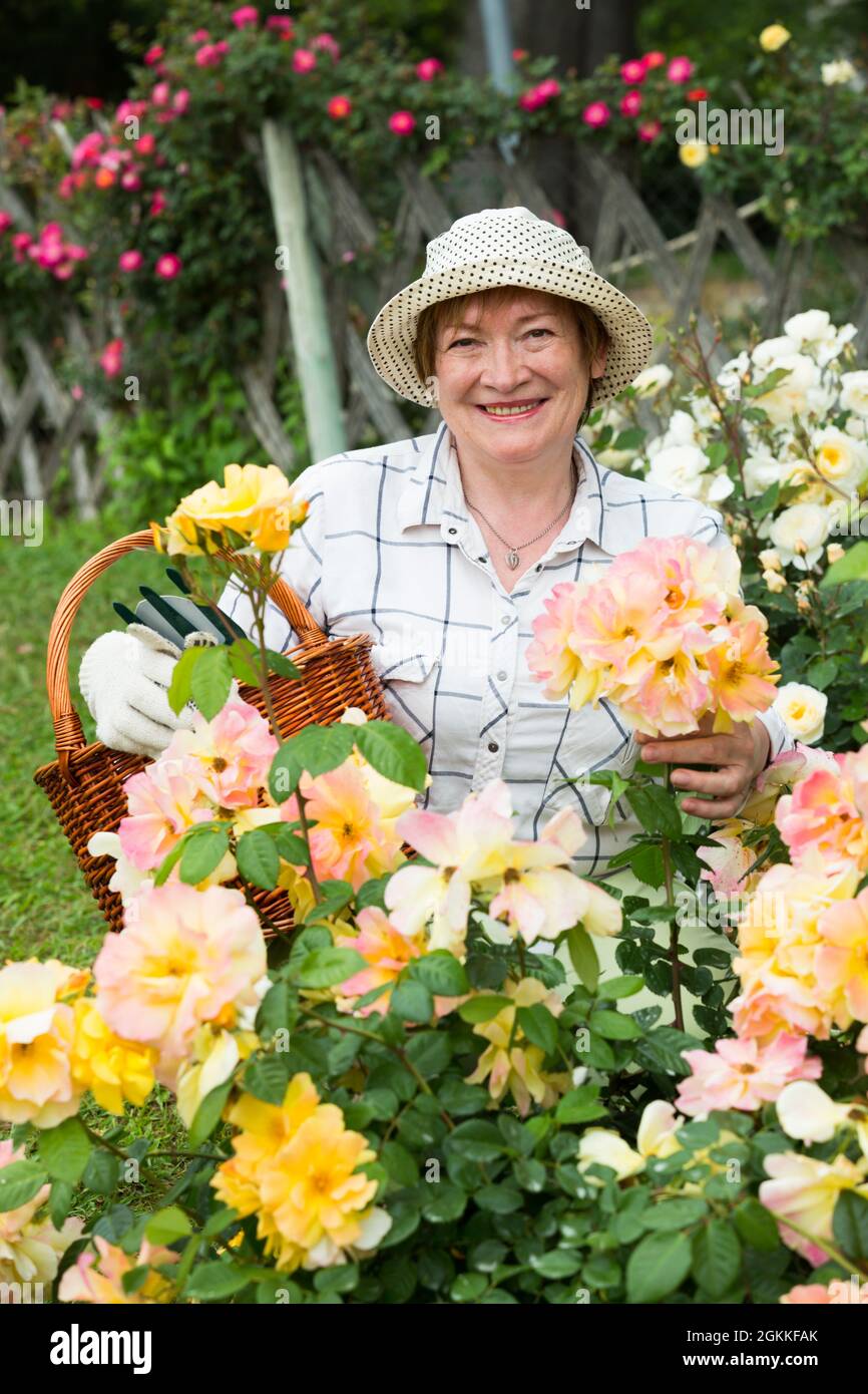 mature woman orange roses Stock Photo - Alamy