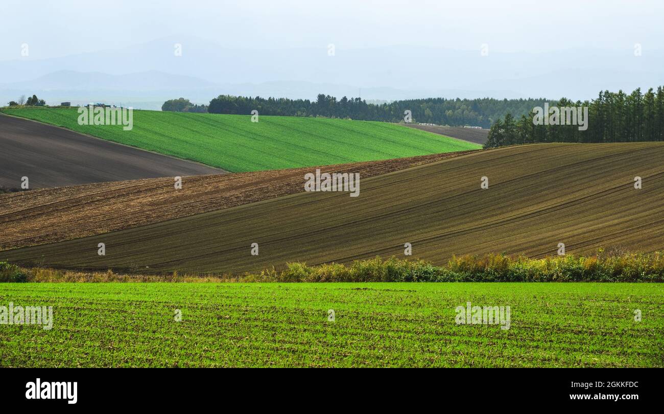 Beautiful rural scenery of Furano, Japan. Furano known for the pleasant ...