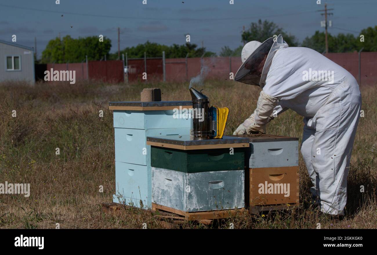 Blaze Baker, 9th Civil Engineer Squadron installation management flight ...