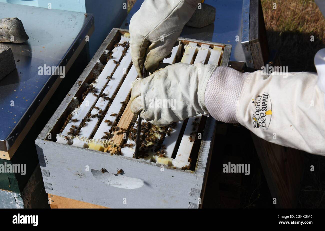 Blaze Baker, 9th Civil Engineer Squadron installation management flight ...