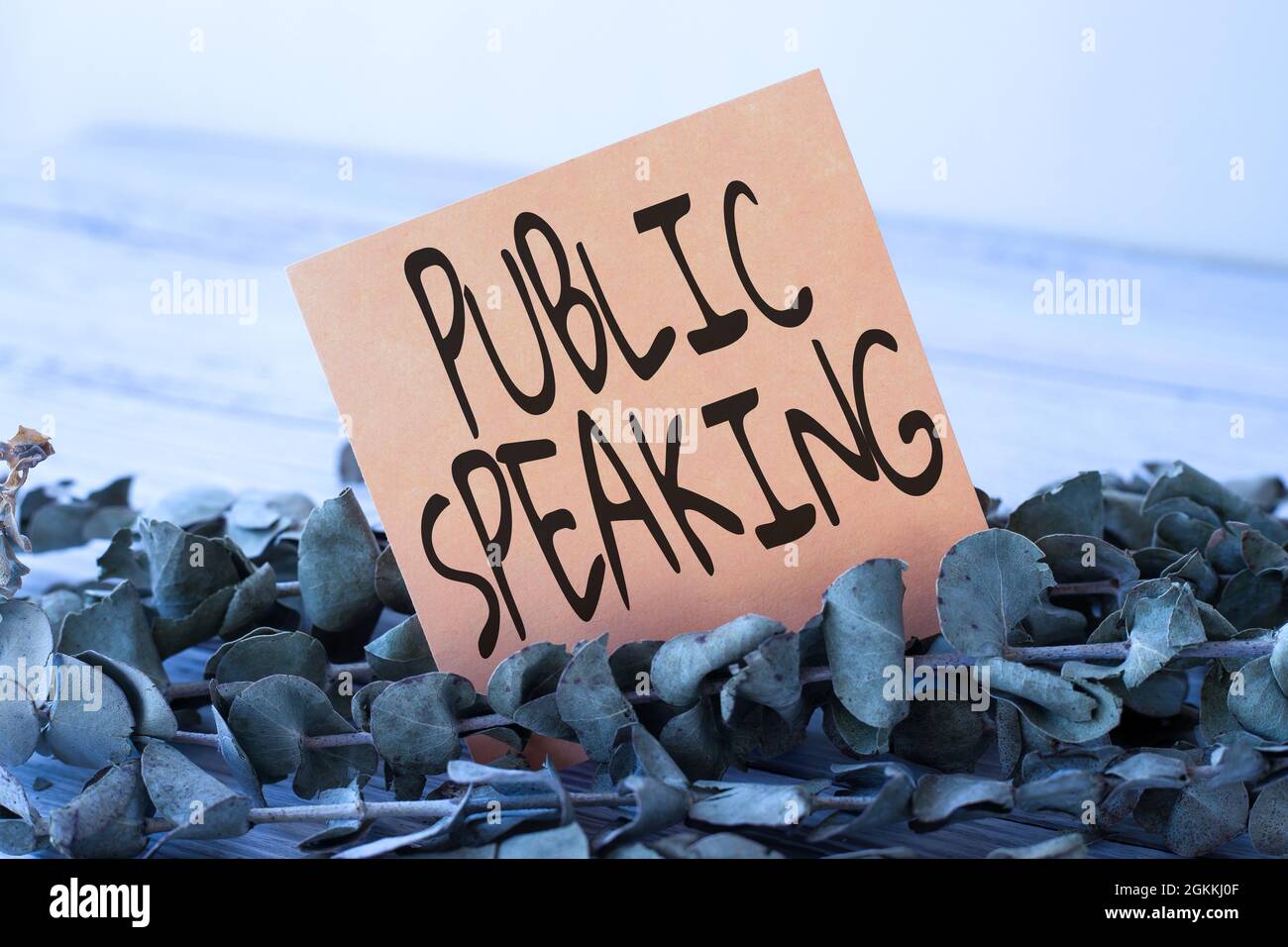 Text showing inspiration Public Speaking. Word Written on art of ...