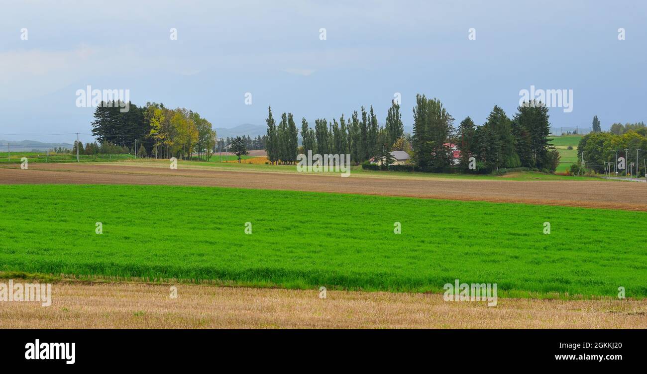 Beautiful rural scenery of Furano, Japan. Furano known for the pleasant ...