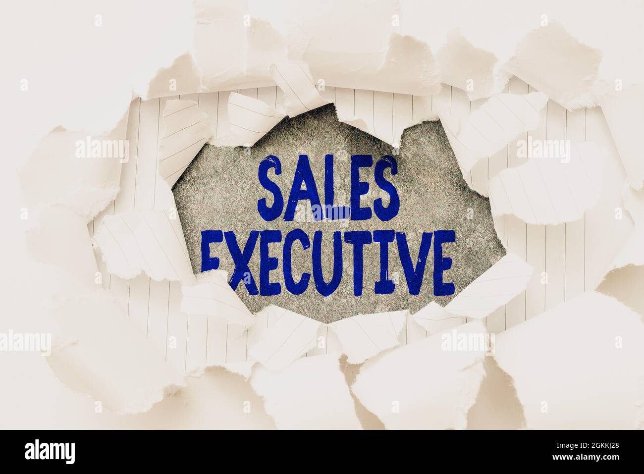 Text sign showing Sales Executive. Word for responsible for the overall ...