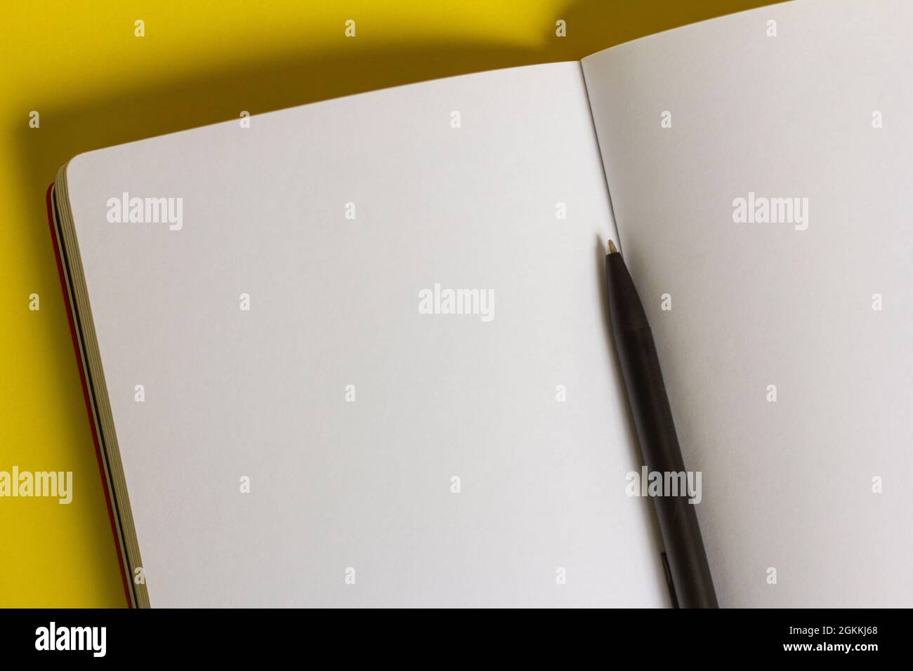 An open, clean notebook or notebook and a pen on the table.Close-up ...