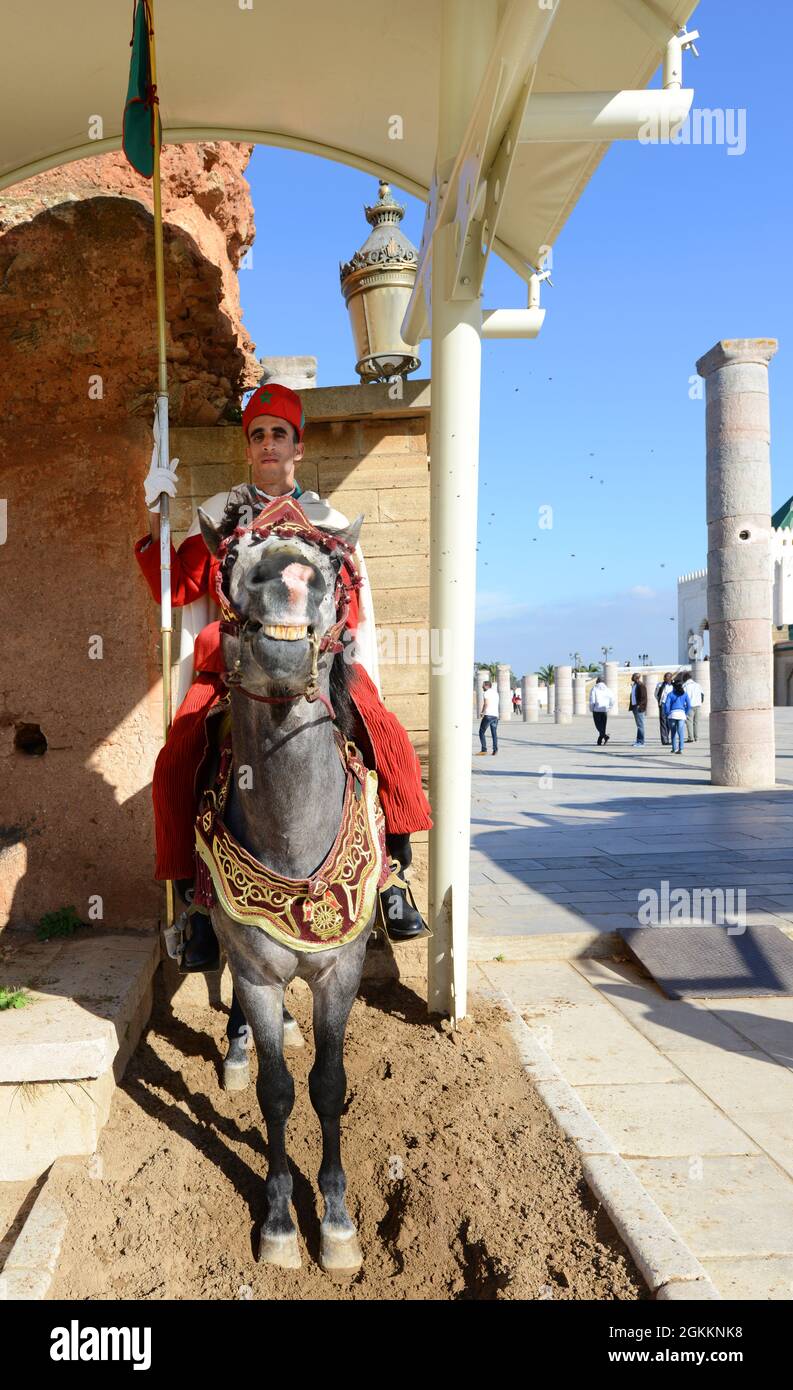 A Moroccan royal guard on his horse at the entrance of the Mausoleum of ...