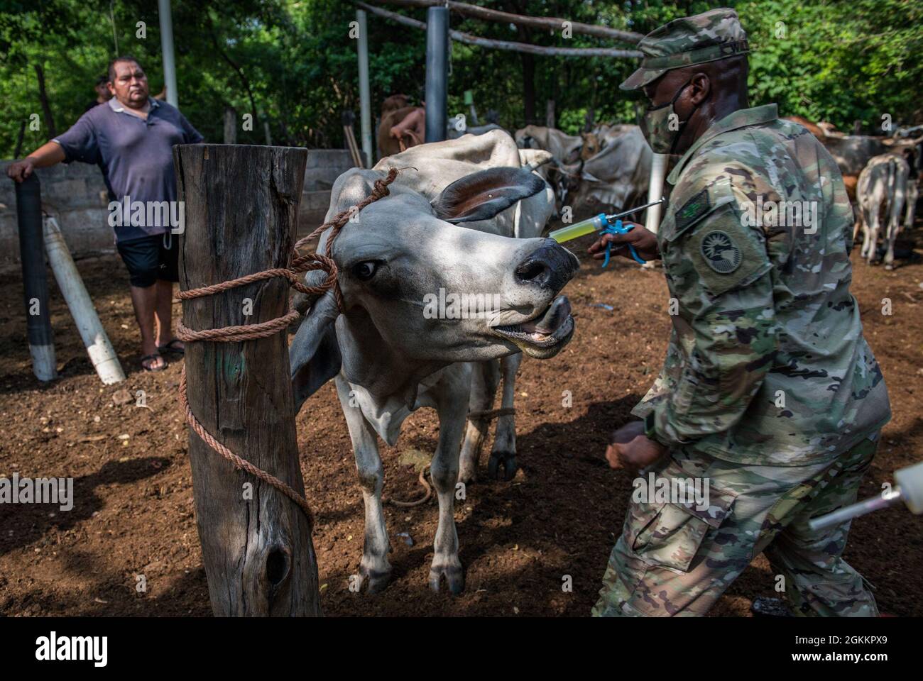 U.S. Army Sgt. First Class Lionel Williams, the battle NCO-in-charge ...
