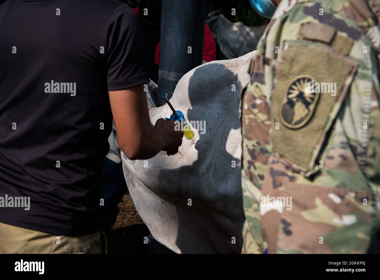 U.S. Army veterinary service members with Joint Task Force-Bravo, Soto ...