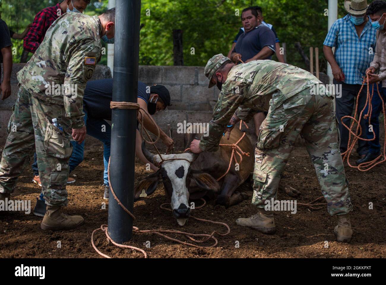 U.S. Army veterinary service members with Joint Task Force-Bravo, Soto ...