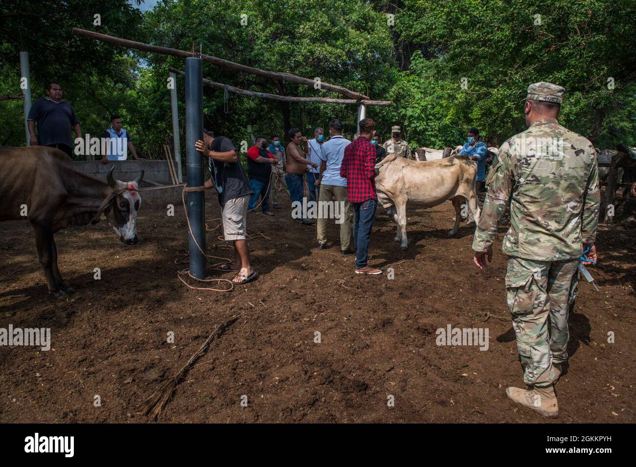 U.S. Army veterinary service members with Joint Task Force-Bravo (JTF-B ...