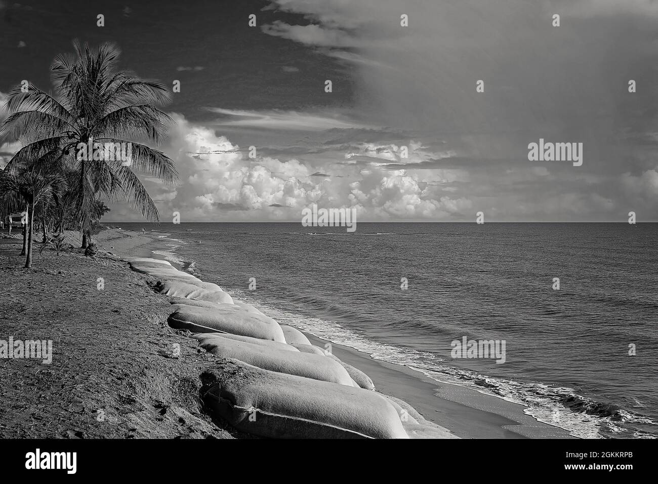 Monotone of a beach in North Queensland Australia lined with sand bags ...