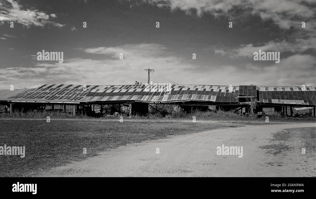 Black and white of a long low decrepit old shed with rusted iron roof ...
