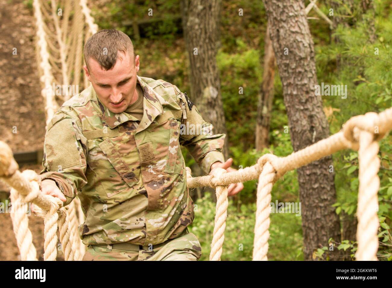 2021arbwc hi-res stock photography and images - Alamy