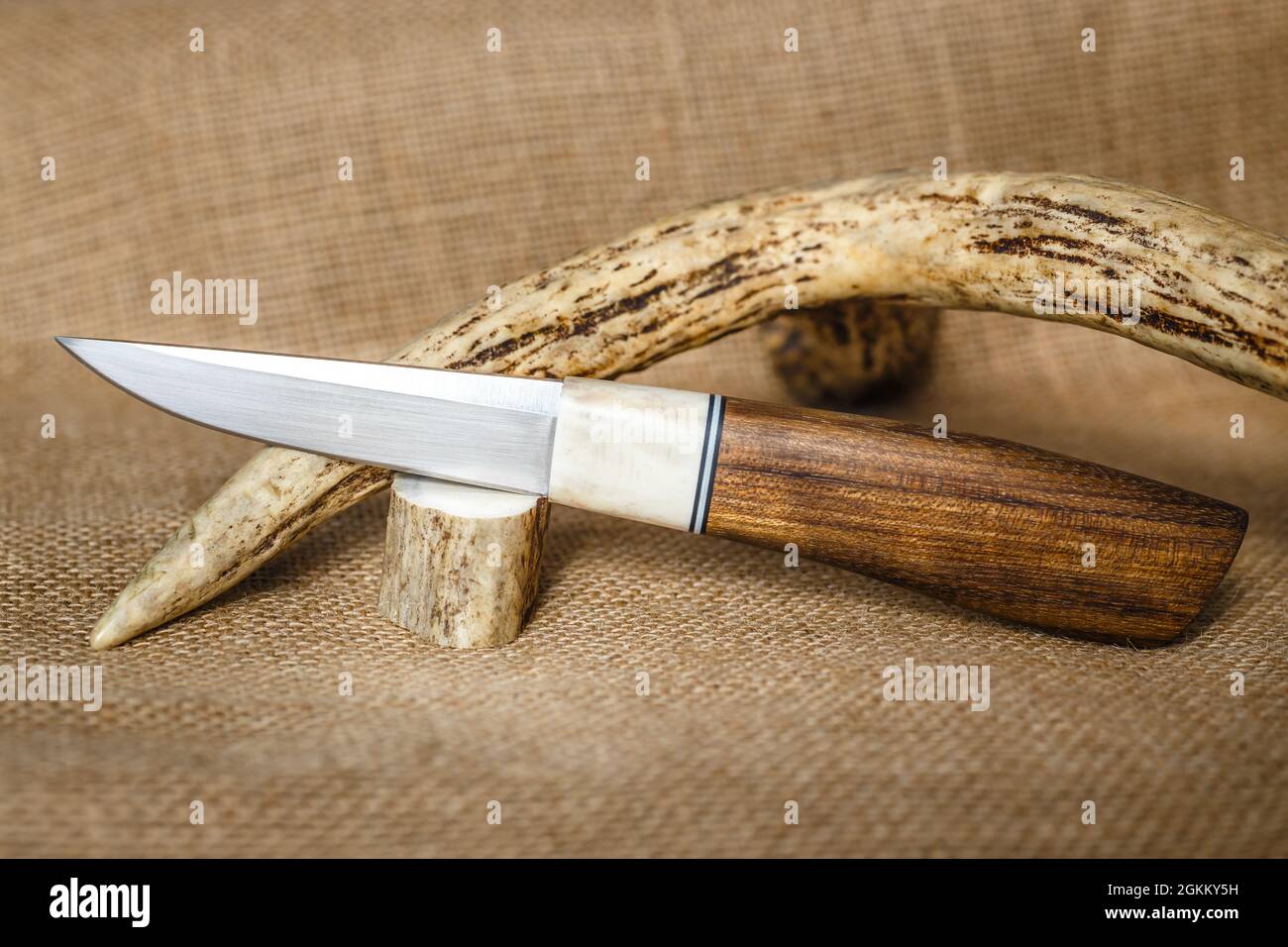 Hunter combat hand made knife and deer antlers Stock Photo - Alamy