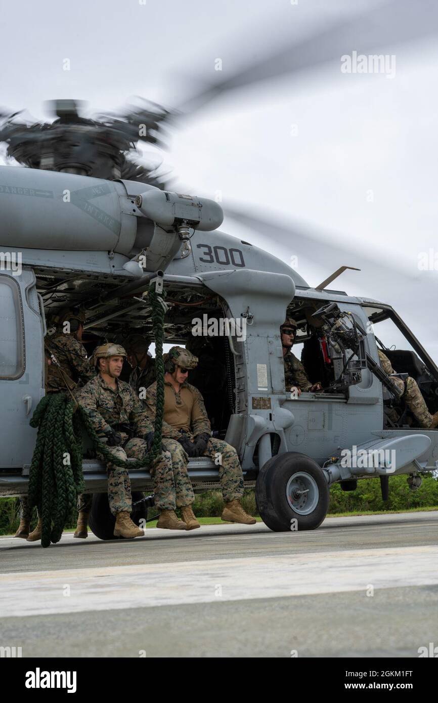 U.S. Marines with 3d Reconnaissance Battalion, 3d Marine Division ...