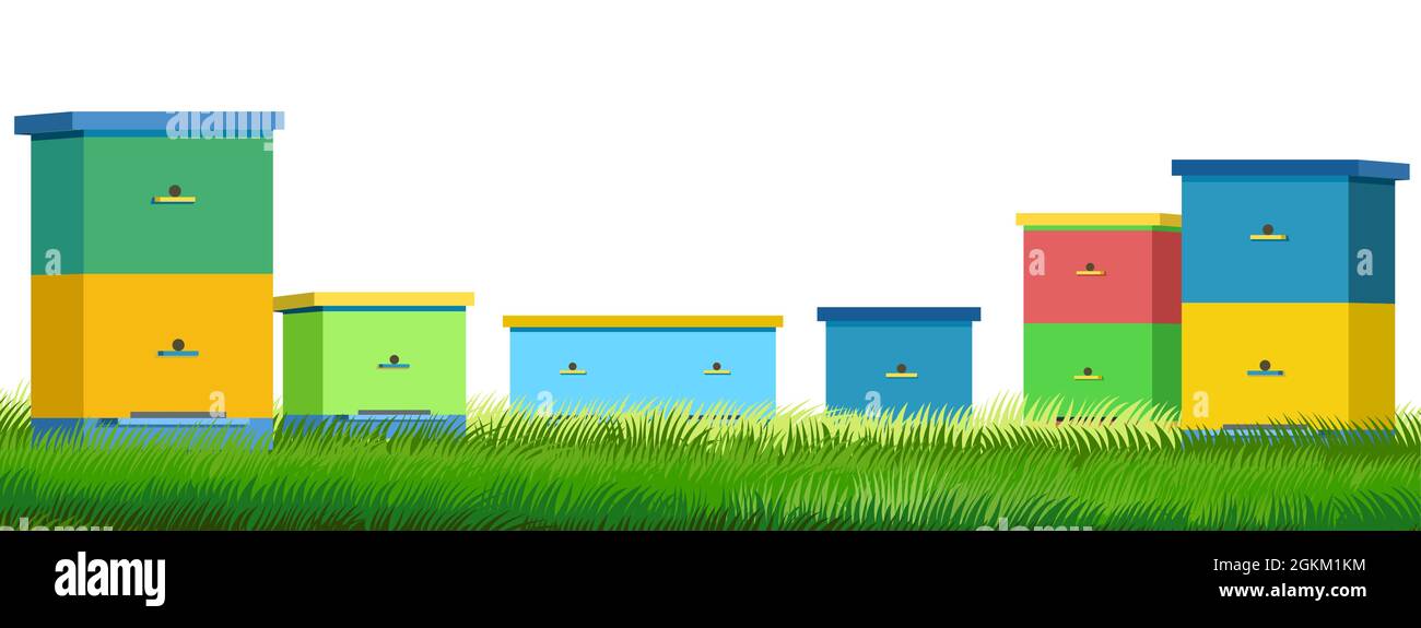 Bees front beehive Stock Vector Images - Alamy