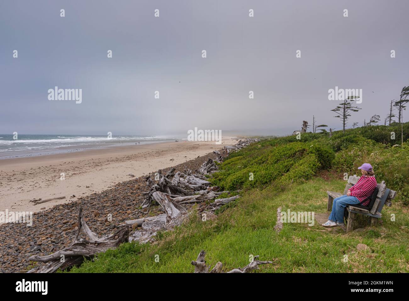 Windy coast fog hi-res stock photography and images - Alamy