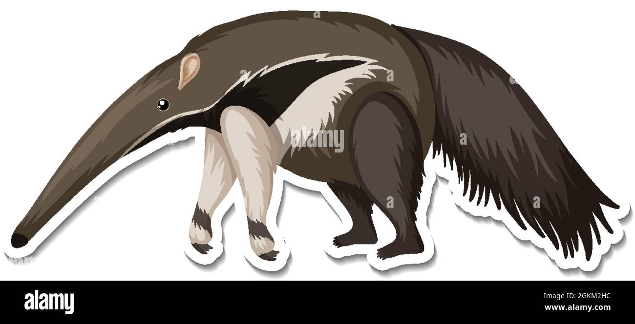 A sticker template of anteater cartoon character illustration Stock ...