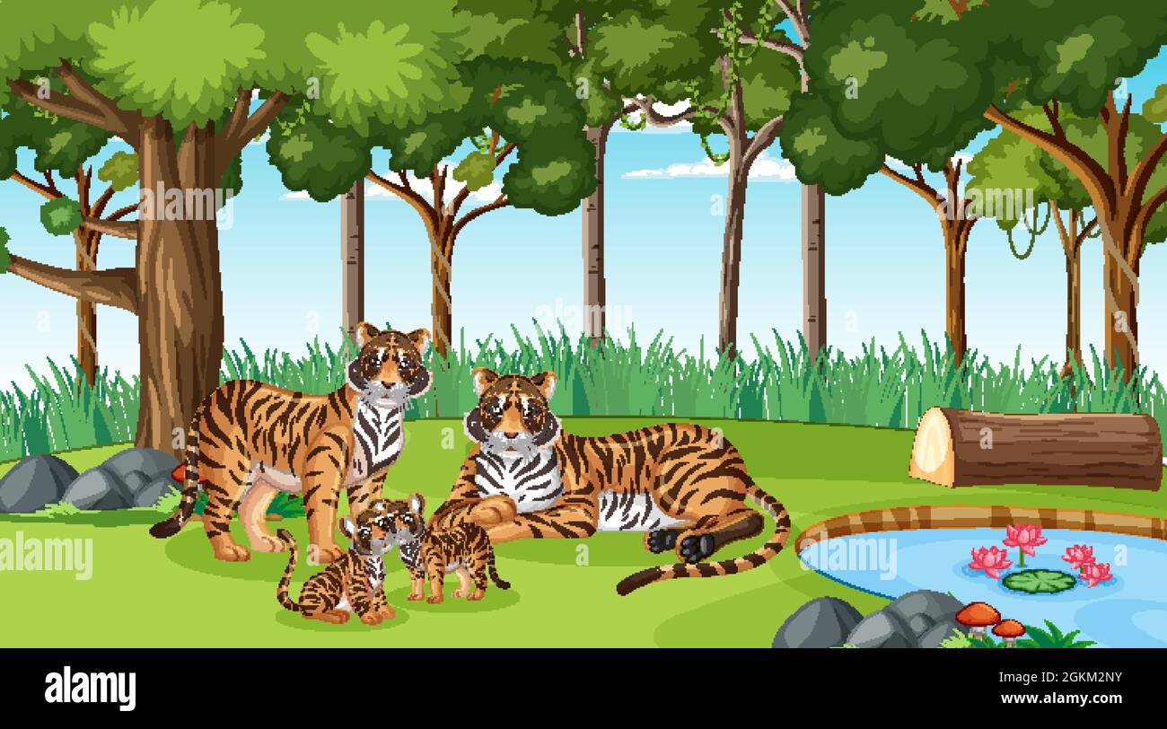 Tiger family in forest or rainforest scene with many trees illustration Stock Vector Image & Art ...