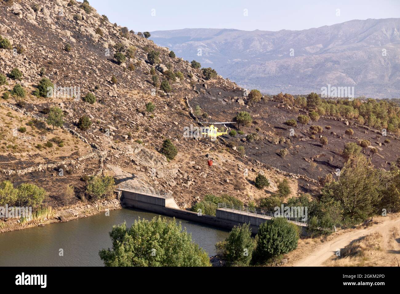 Firefighting helicopter taking water from a dam to extinguish a forest ...