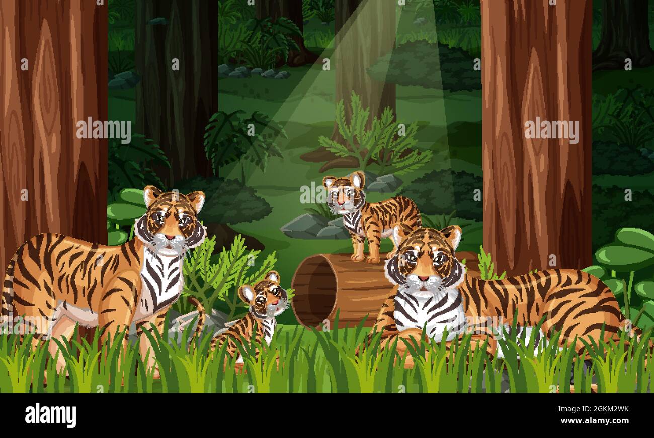 Tiger family in forest landscape background illustration Stock Vector Image & Art - Alamy
