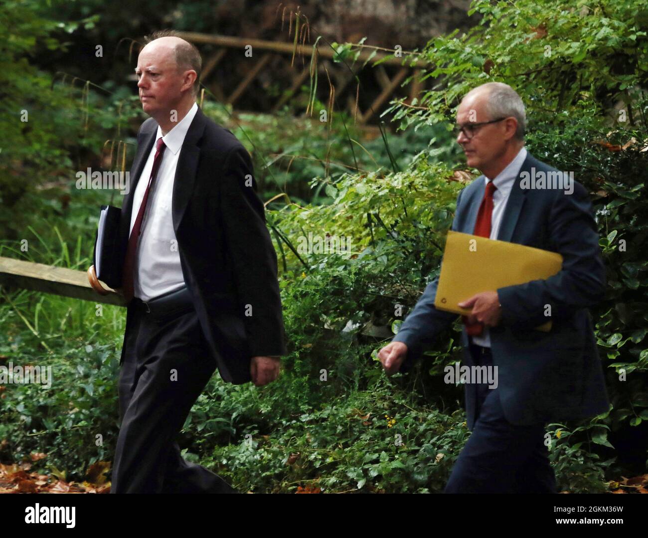 Chris whitty patrick vallance hi-res stock photography and images - Alamy
