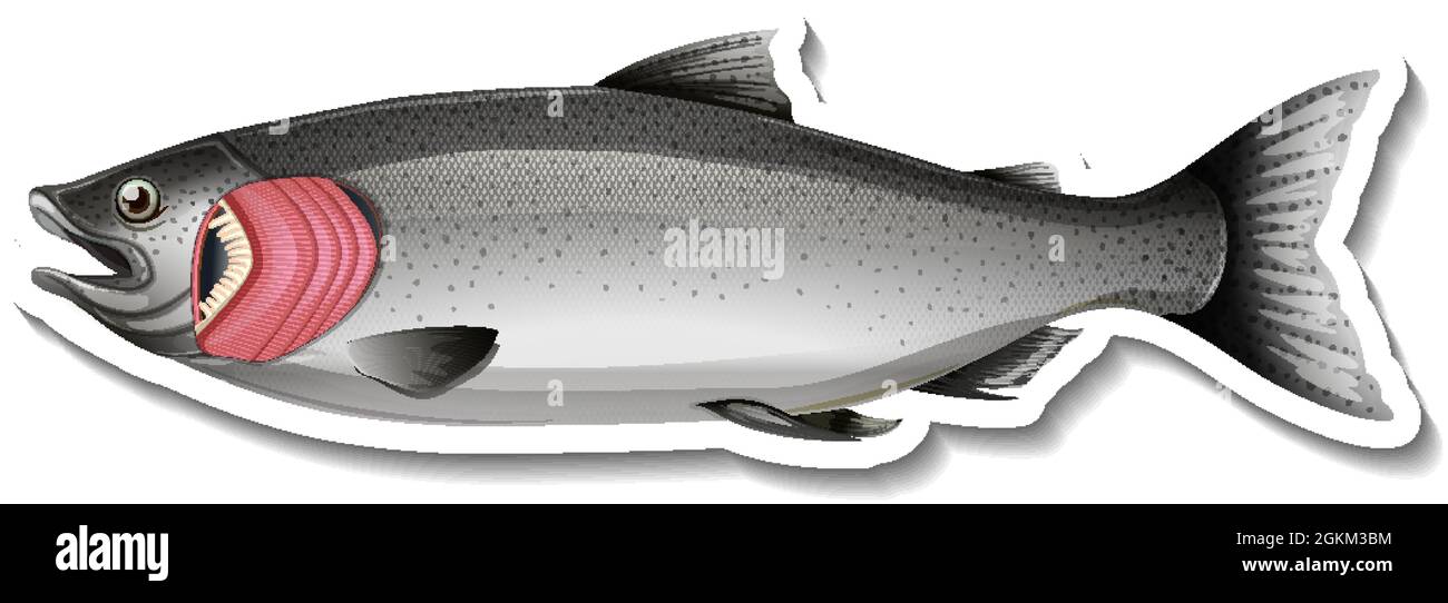 Sticker fish with gills on white background illustration Stock Vector ...