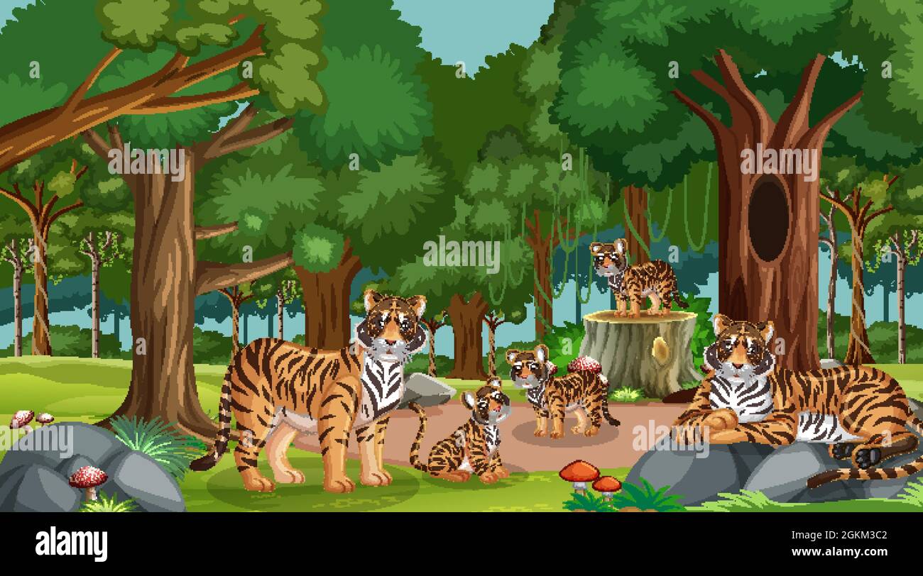 Tiger family in forest or rainforest scene with many trees illustration Stock Vector Image & Art ...