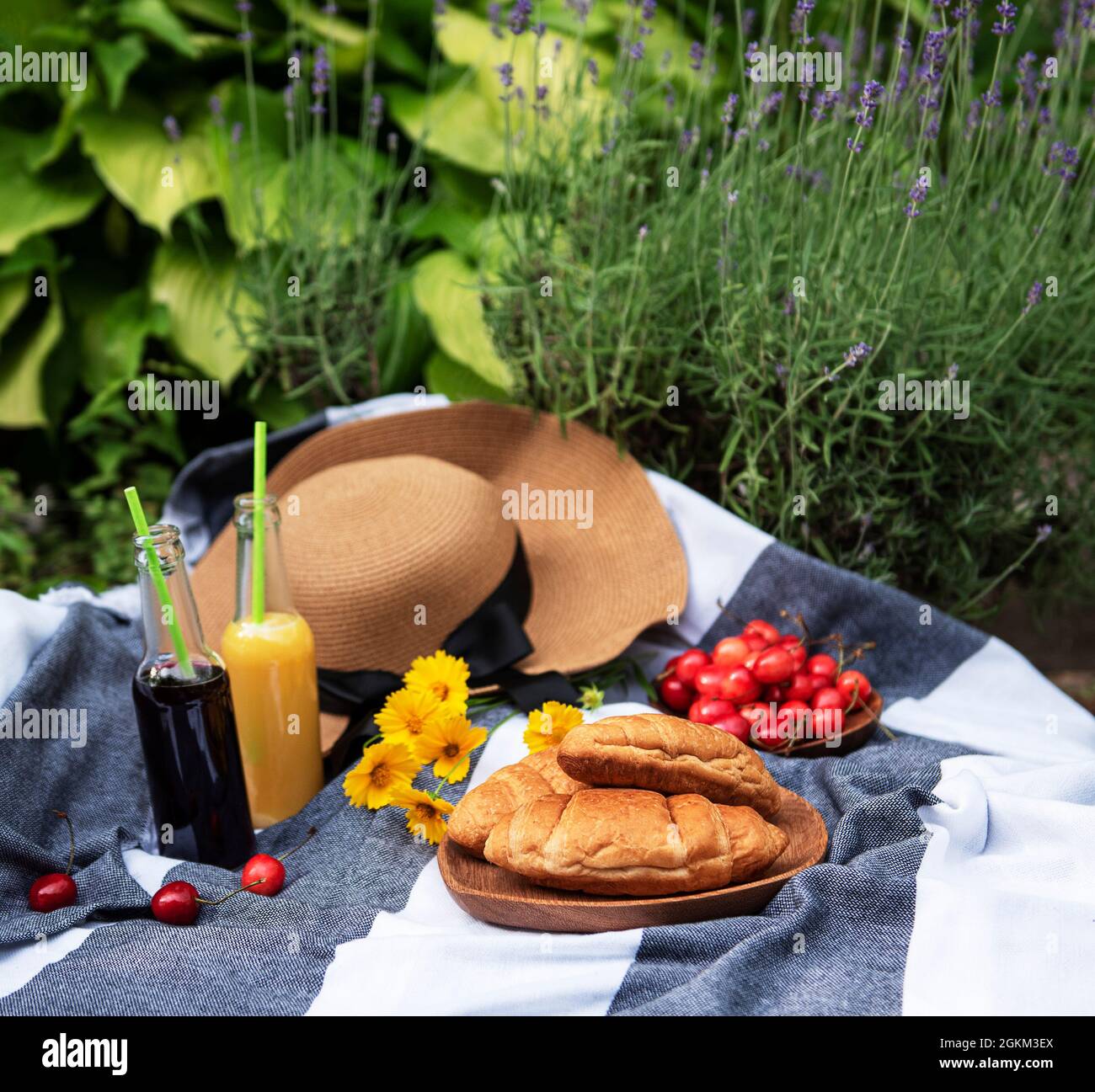 Summer picnic in lavender field. Still life summer outdoor picnic with ...