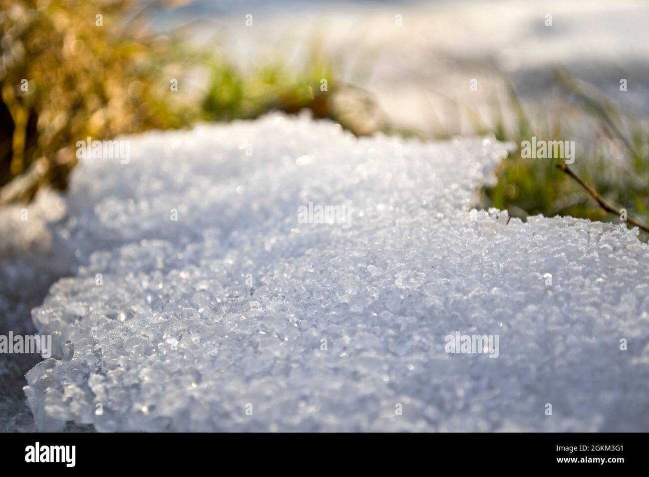 Blue ice crystal and grass, close up Stock Photo - Alamy