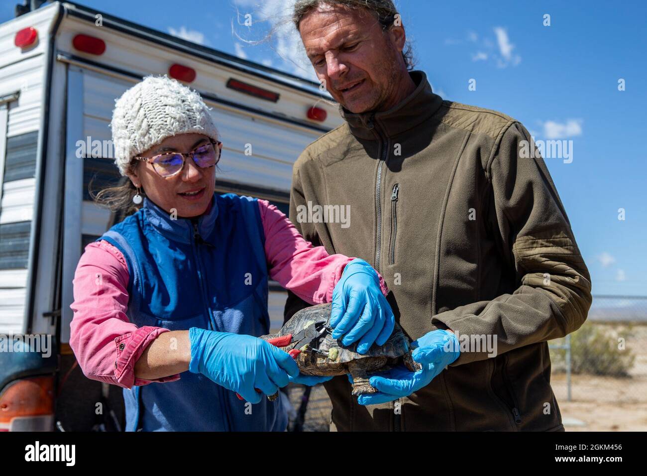 Turtle research and captive rearing site hi-res stock photography and ...