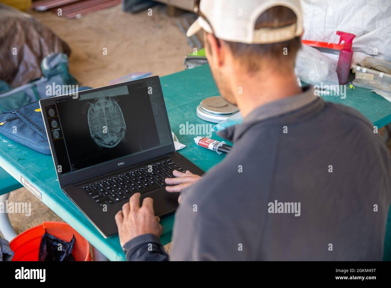 T.G. Jackson, Tortoise Biologist, Marine Corps Air Ground Combat Center ...