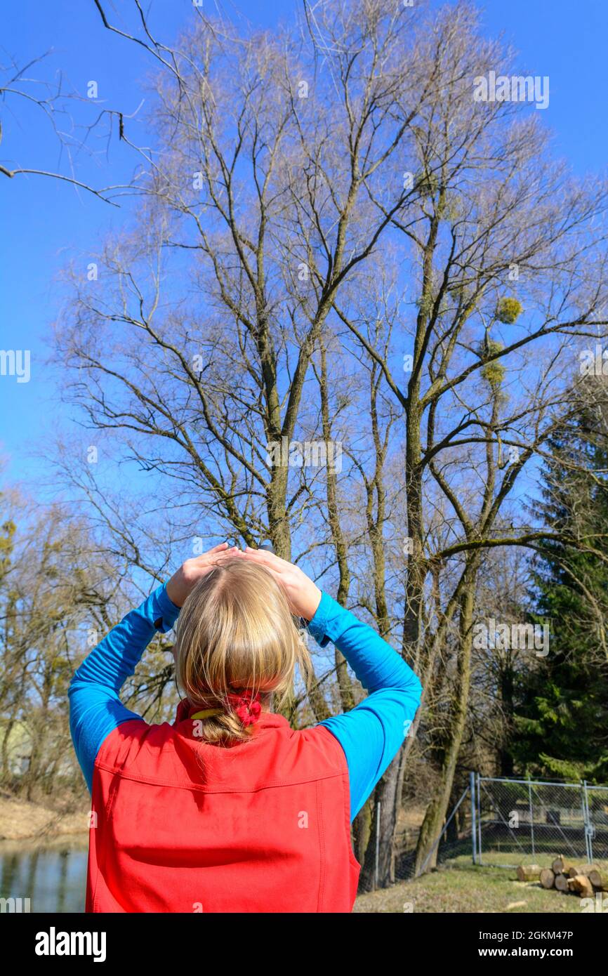 Female arborist inspects a tree Stock Photo - Alamy