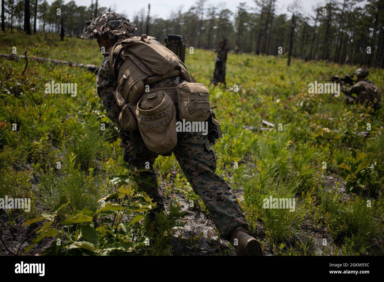 Grenadier range hi-res stock photography and images - Alamy