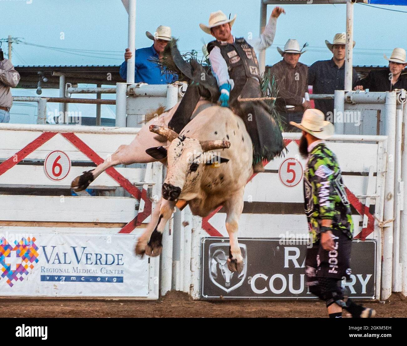 Bull riding in del rio hi-res stock photography and images - Alamy