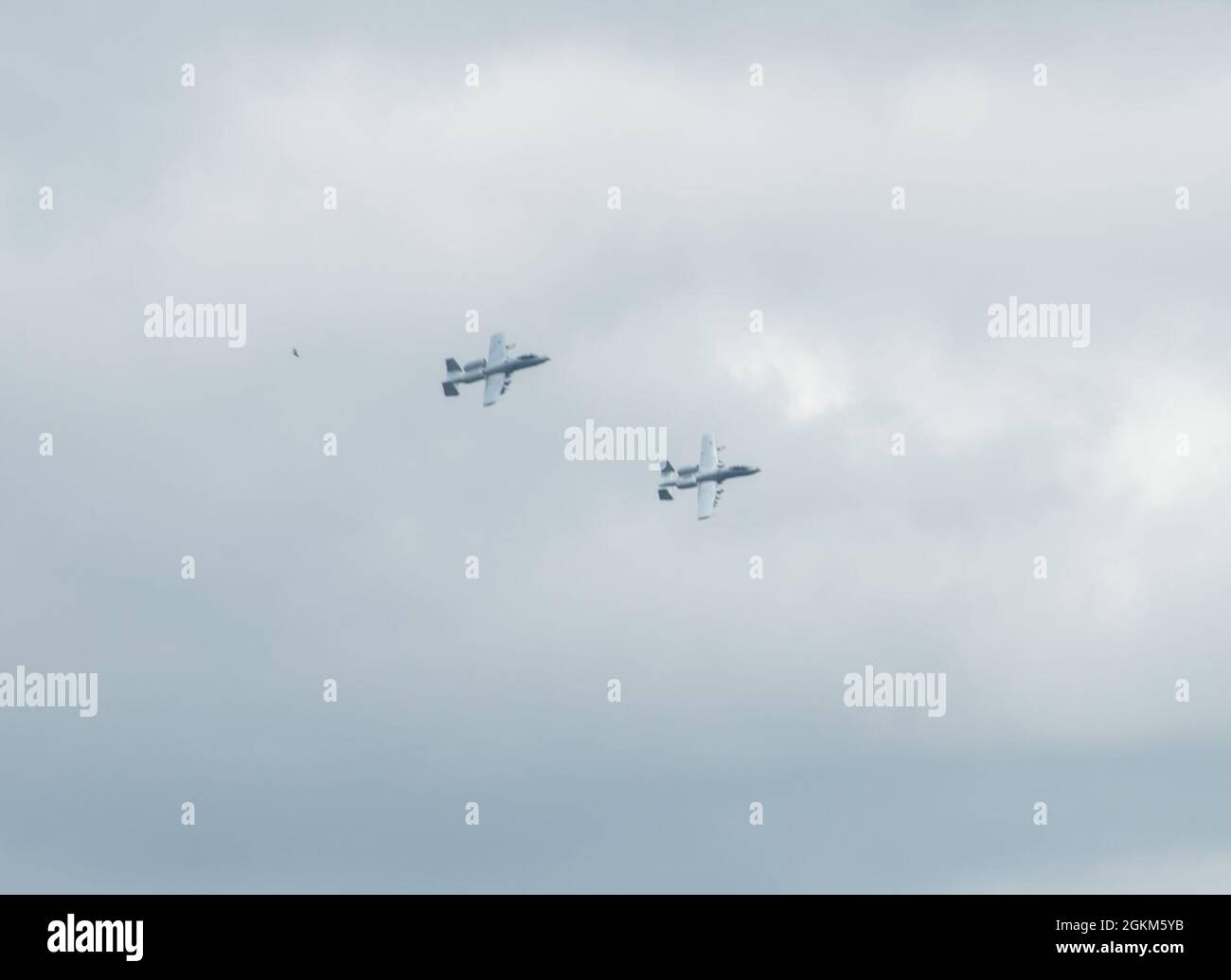 Members of Air Force 354th Fighter Squadron and 355 OSS controllers ...