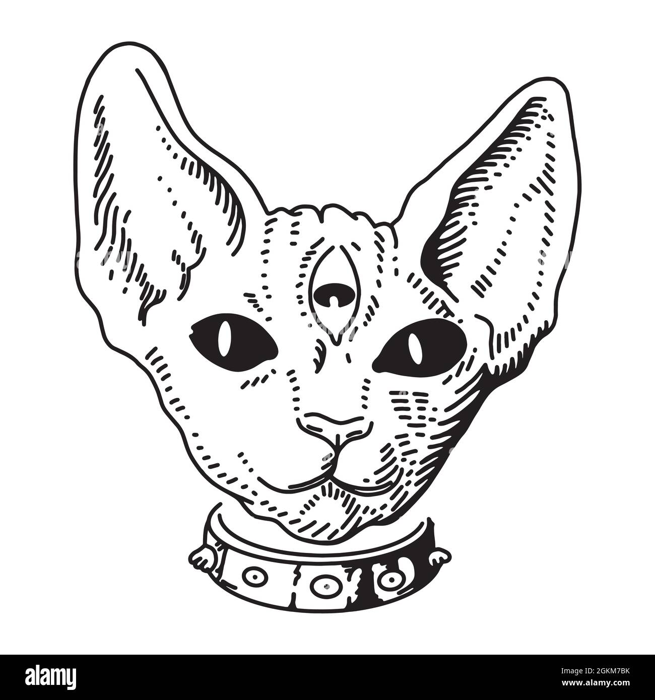 Tattoo Cat. Vector illustration art. Vintage engraving. Vintage style ...