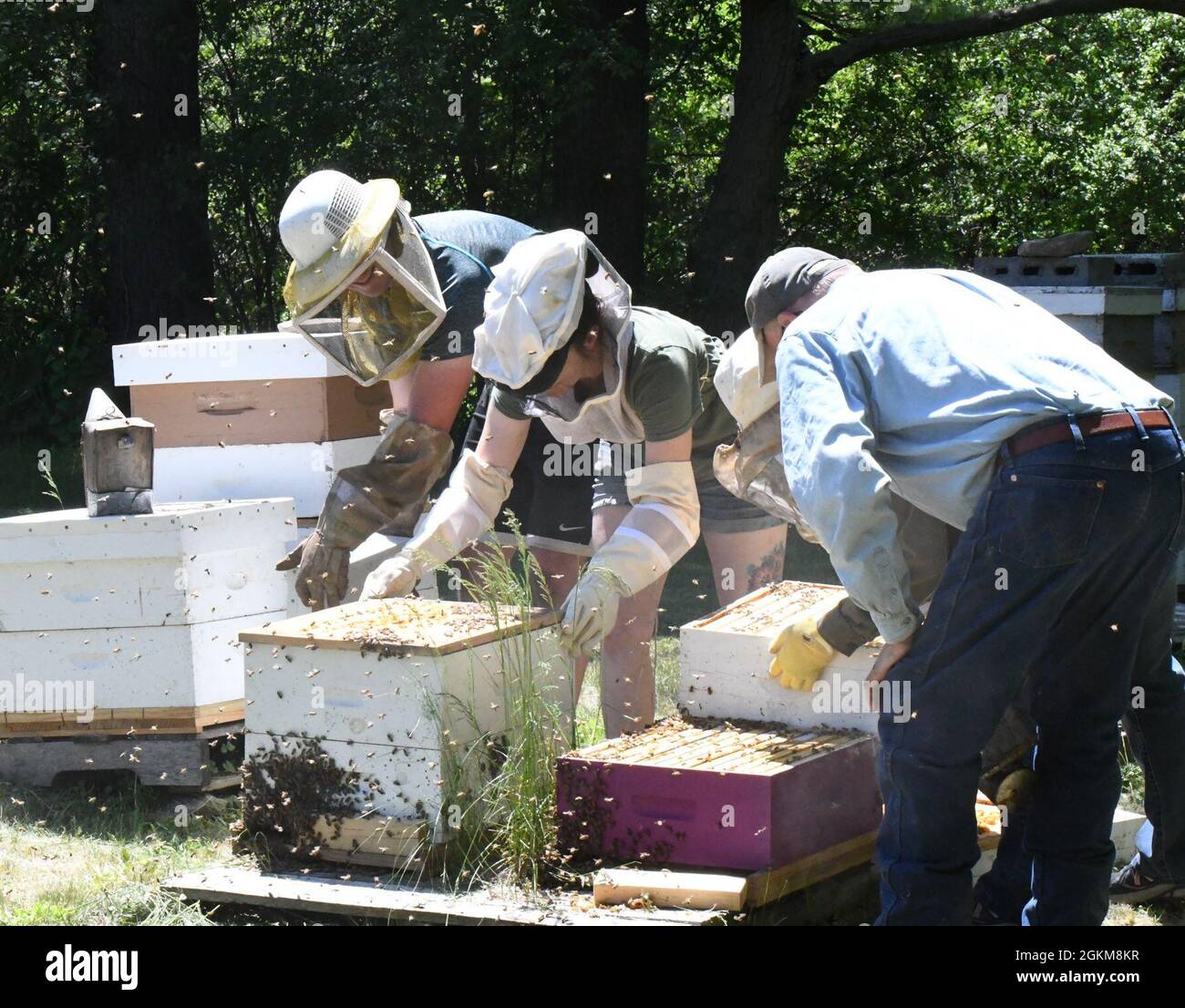 Veterans and active-duty service members toured the bee farm and ...