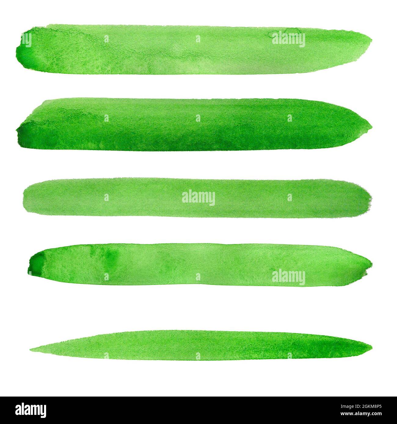 Watercolor paint green design lines set isolated on white background ...