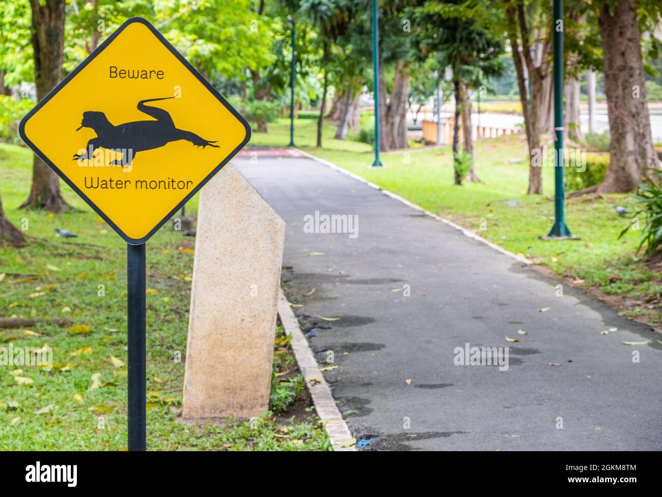 Monitor lizard sign hi-res stock photography and images - Alamy