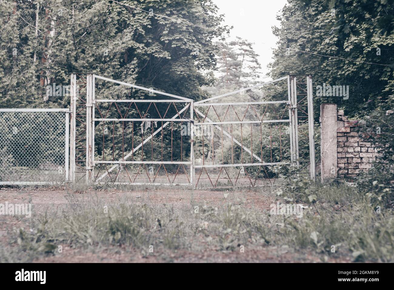 Old abandoned metal gate on grassy forest road Stock Photo - Alamy