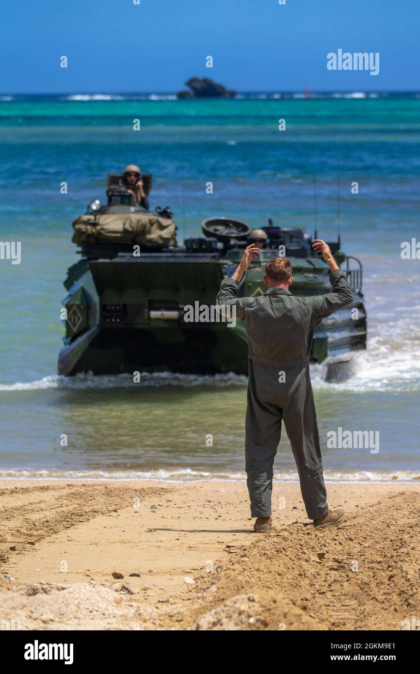 U.S. Marines with Company B, 3d Assault Amphibian Battalion currently ...