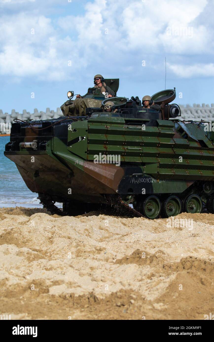 U.S. Marines with Company B, 3d Assault Amphibian Battalion currently ...
