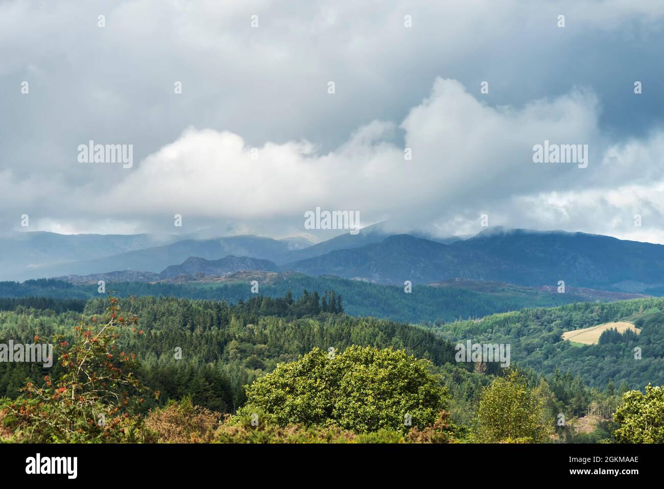A view towards Snowdonia from the welsh national park uk Stock Photo ...