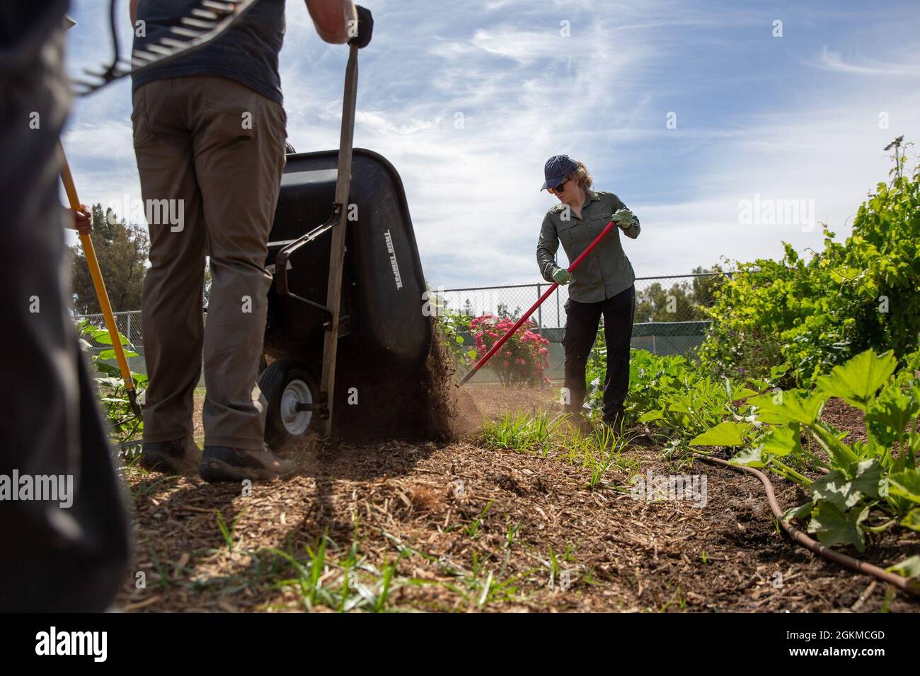 1st intel bn hi-res stock photography and images - Alamy
