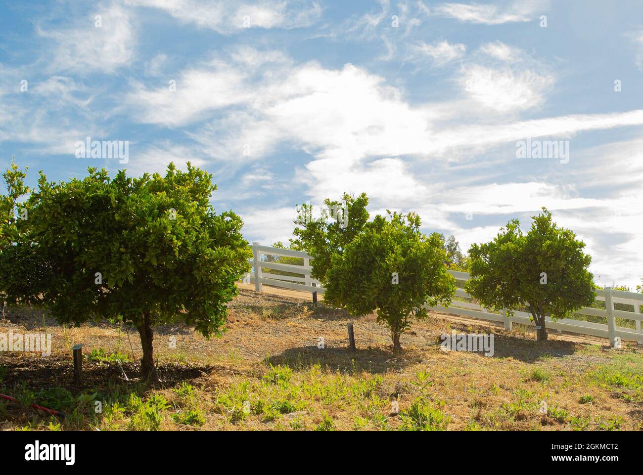 1st intel bn hi-res stock photography and images - Alamy