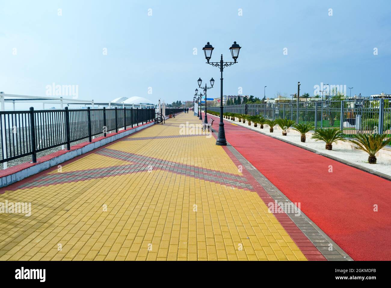 Sea embankment path poad and small palm trees, Sochi Russia Stock Photo ...