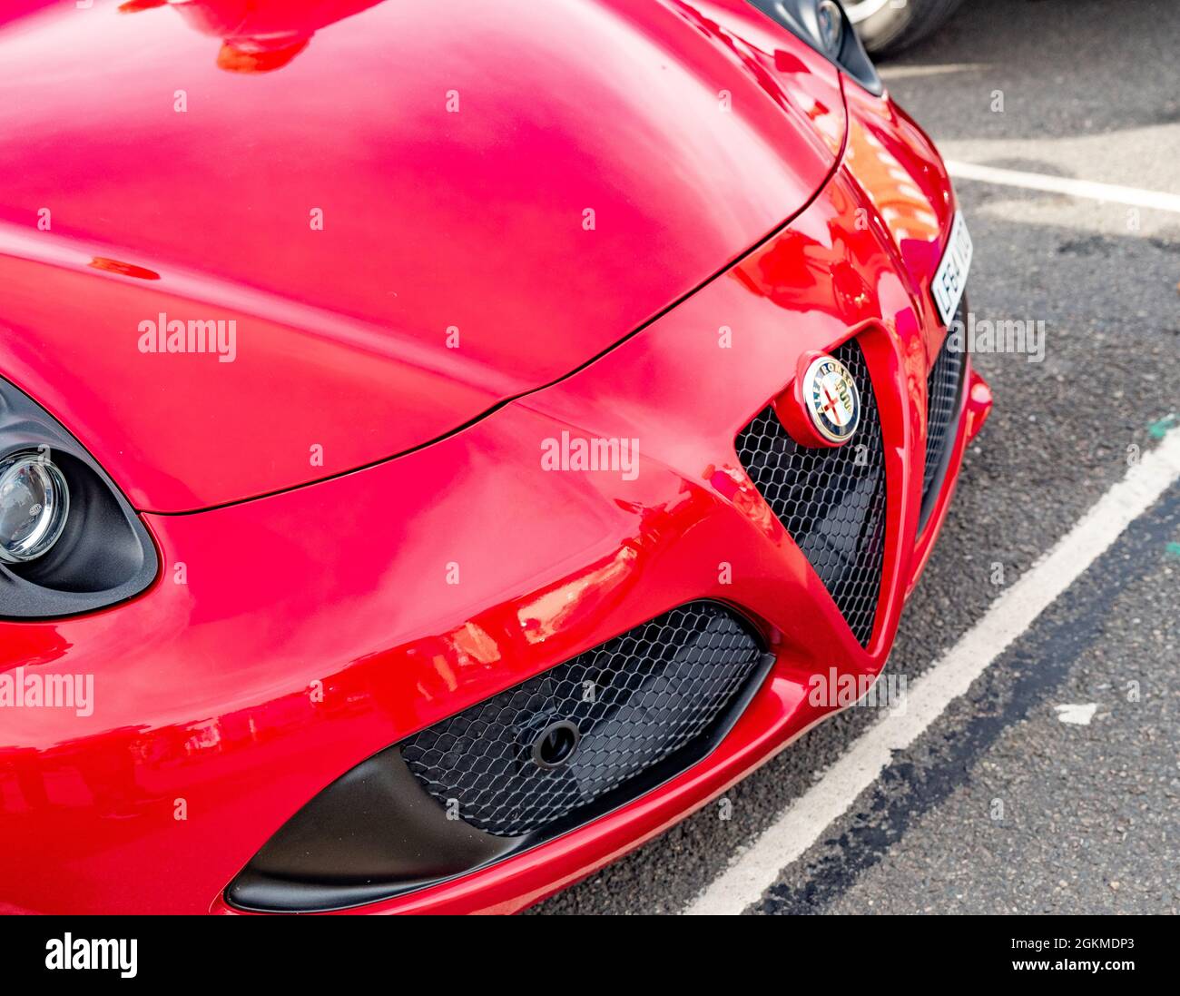 Alpha Romeo Got High Resolution Stock Photography and Images - Alamy