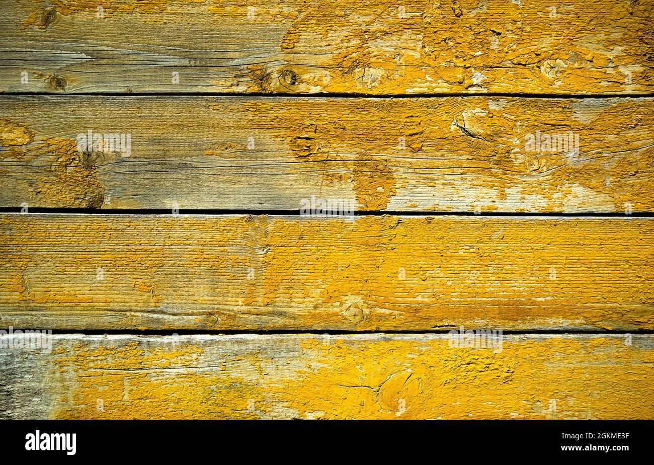 Painted natural yellow wood board background texture. Closeup Stock ...